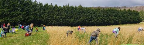 Easter Photos By Pam Dudding New Castle Record