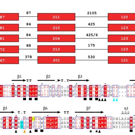 Gene Organisation And Structure Based Sequence Alignment Of Selected