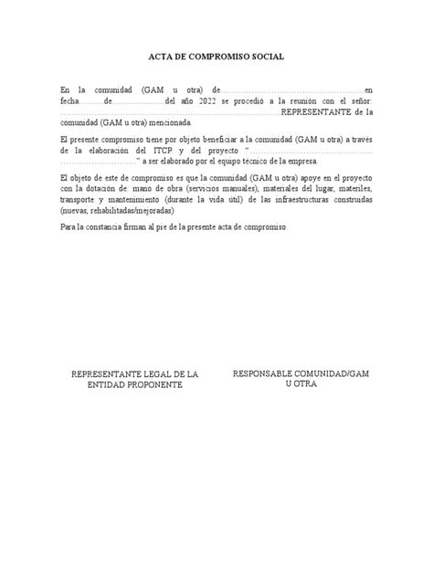 Modelo De Acta Itcp Pdf Economias