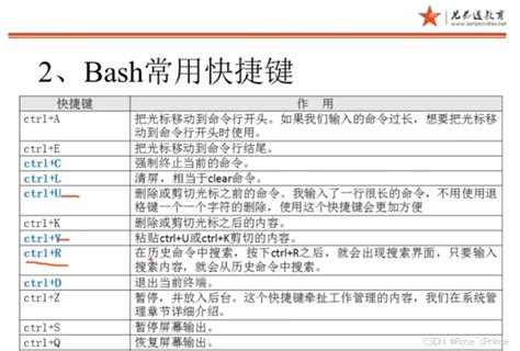 Bash脚本常用命令 Csdn博客