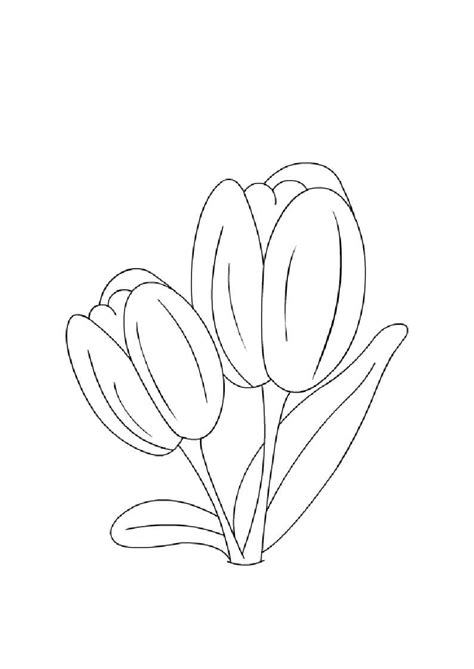 Раскраски тюльпаны 89 фото