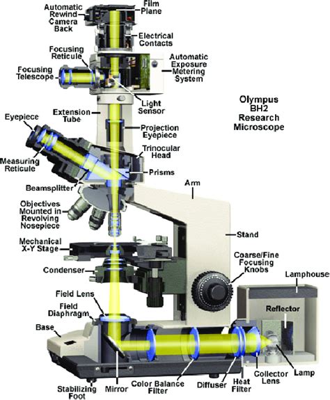 Labelled Diagram Of Microscope