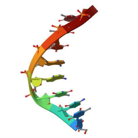 Rcsb Pdb 8taq Sequence Specific Aatt Orientation Of Hoechst Molecules At A Unique Minor