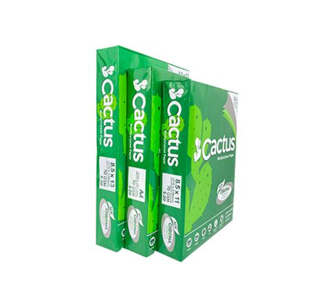 Cactus Multi Purpose Paper Copy Paper Bond Paper 70gsm Sub 20 Lazada Ph
