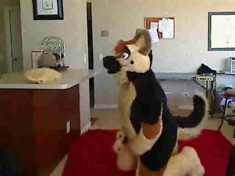 Fursuit Orgasm