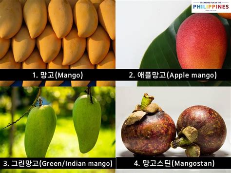필리핀 관광부 필리핀에서 맛볼 수 있는 과일 20가지 이 외에도 파인애플 수박 등 다양한 과일을