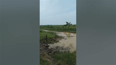 Beautiful Vilage Youtube