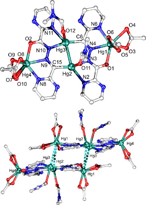 Molecular Structure Of 1 Top Highlighting The Coordination