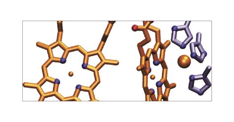 Sequence Analysis Of The Cbb3 Oxidases And An Atomic Model For The Rhodobacter Sphaeroides