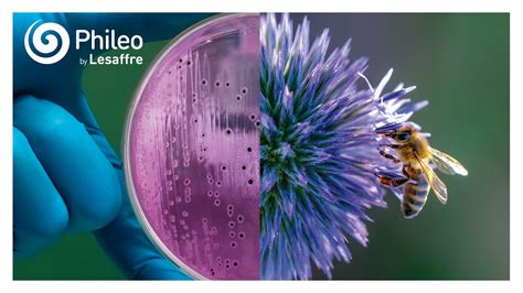 Beka Cookware Fancy A Bit Of Everything For A Big Group Of Guests Beka Got Your Back With