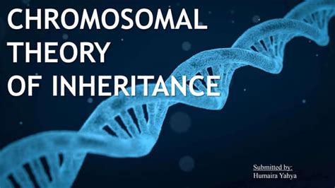 Chromosomal Theory Of Inheritance Pptx