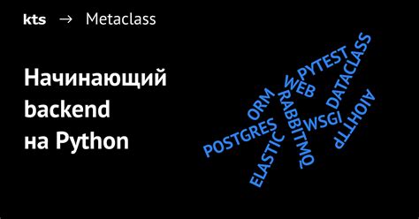 Начинающий Backend разработчик на Python