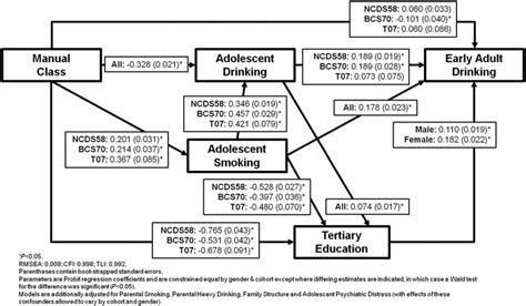 Probit Coefficients And Standard Errors From Analysis Model Download Scientific Diagram