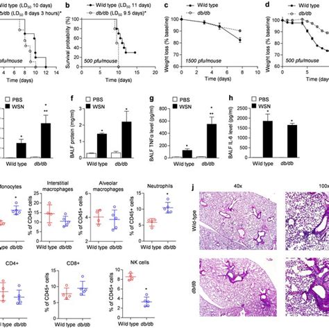 Effect Of Leptin Receptor Function Specifically Within Lung Epithelium Download Scientific