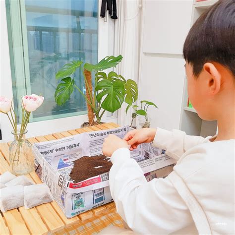 커피찌꺼기활용법 말리기 방향제만들기 네이버 블로그 커피찌꺼기활용법 말리기 방향제만들기 네이버 블로그