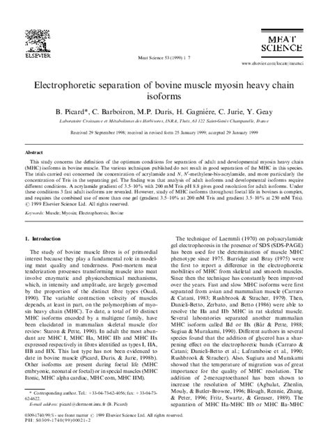 Pdf Electrophoretic Separation Of Bovine Muscle Myosin Heavy Chain