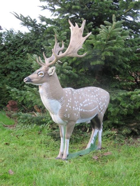 DAIM DEBOUT WF 62P Natur Foam