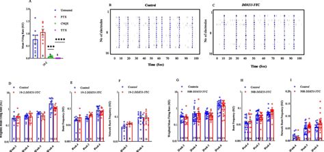 A Characterization Of The Neurons To Validate Their Excitatory Nature