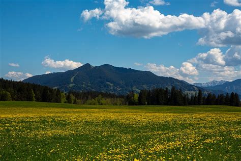 아름다운 산과 꽃 초원 풍경 · 무료 스톡 사진