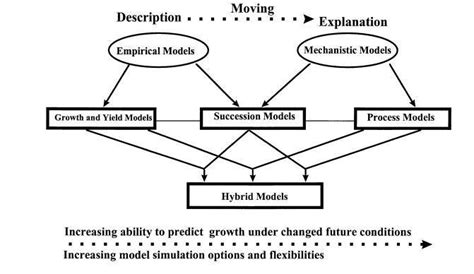 The Categories And Features Of Forest Simulation Models Used In Forest Download Scientific