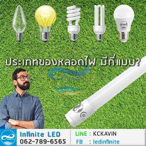 ประเภทของหลอดไฟ การใช้งานของหลอดไฟชนิดต่างๆ จุดเด่นของหลอดไฟ Wazzadu