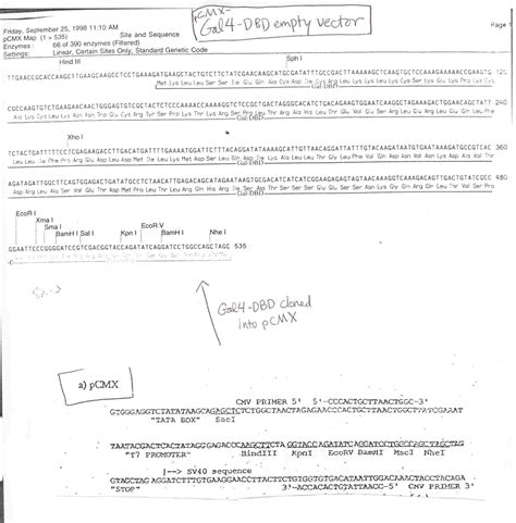 Addgene Vector Database Pcmx Gal4