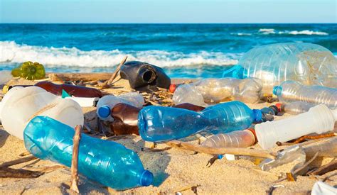 Опазване на океаните Lsto