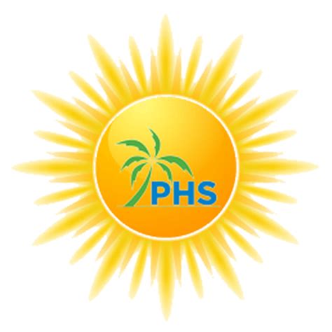 9 Reasons Why You Bruise Easily Pacific Health Sciences