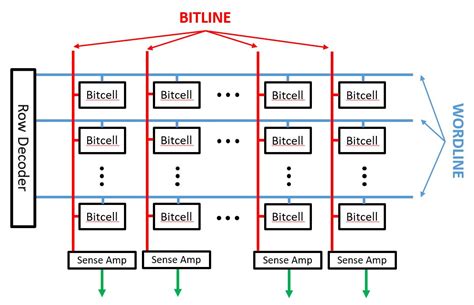 Chip Memory Part 2 The Chimpanzees Memory Explore With Linh