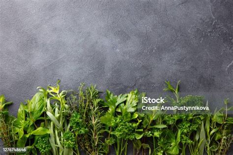 신선한 허브의 구색 회색 배경 공간을 복사합니다 맨 위 보기입니다 부엌에 대한 스톡 사진 및 기타 이미지 부엌 허브 0명 Istock