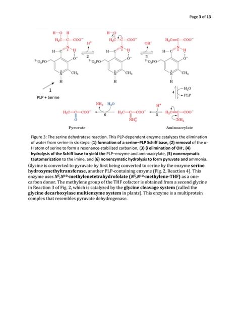 Amino Acid Degradation 1 Pdf Chemistry Science