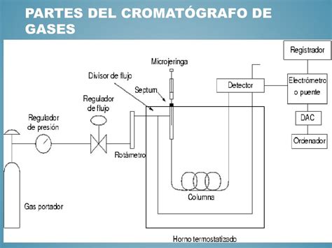 Ppt Cromatografía De Gases Powerpoint Presentation Free Download