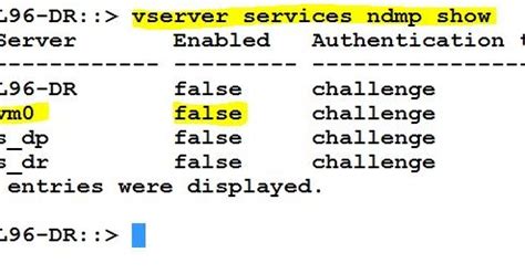 Remote Infrastructure Management NetBackup NDMP Backup Configuration NetApp ONTAP