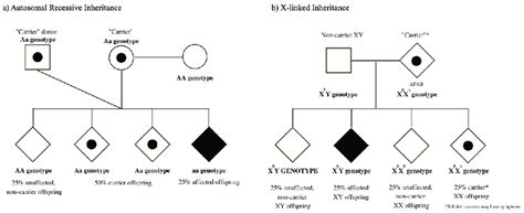 A Autosomal Recessive Inheritance Pattern Same Sex Couple Conceiving