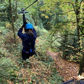 Bellevue Zip Tour Updated August 2024 88 Photos And 88 Reviews
