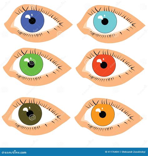 Eyes With Pupils Of Different Colors Stock Illustration Illustration Of Isolated Eyebrows