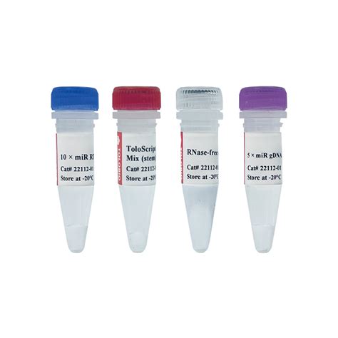 Mirna St Strand Cdna Synthesis Kit By Stem Loop Crispr
