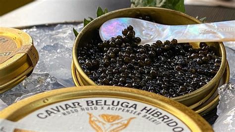 El Caviar Producto Gourmet Manjar De Dioses Y Lujo Sibarita