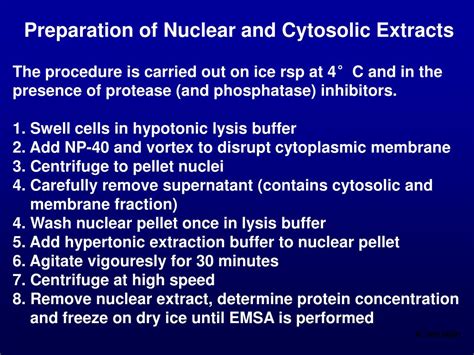Ppt Electro Mobility Shift Assay Emsa Band Shift Assay Gel Shift Assay Powerpoint Presentation