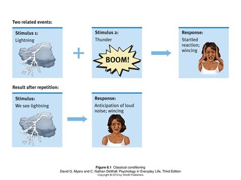 Operant Conditioning Examples In Everyday Life Positive Reinforcement