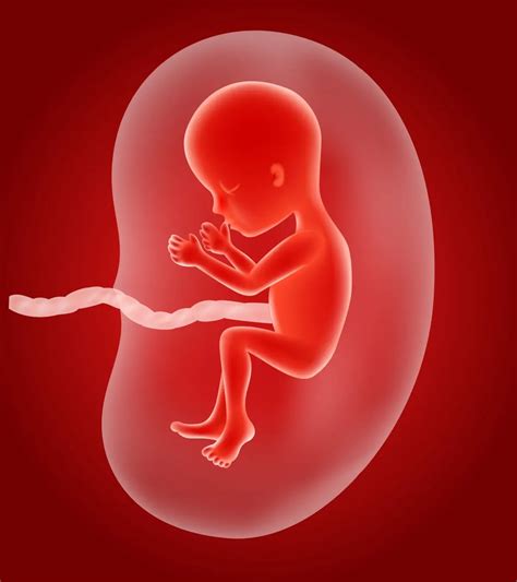 12 Signs Of Dehydration During Pregnancy And Ways To Avoid It