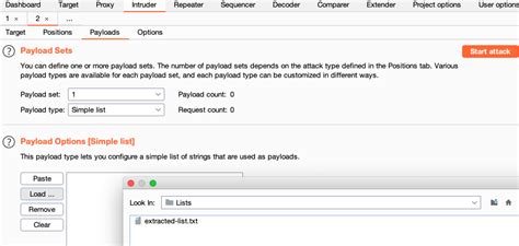 Using Burp Intruder Portswigger