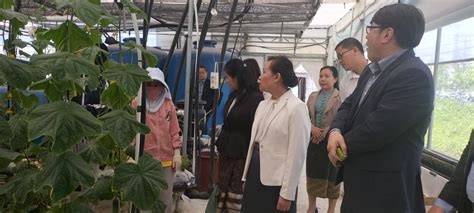 ແຮງງານລາວ ຂ່າວສານແຮງງານ ແລະ ສະຫວັດດີການສັງຄົມ ຮສສ