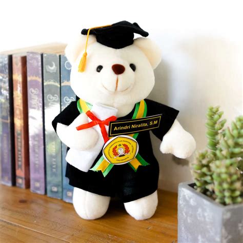 Kado Wisuda Boneka Teddy Bear Berdiri Small Kado Wisudaku