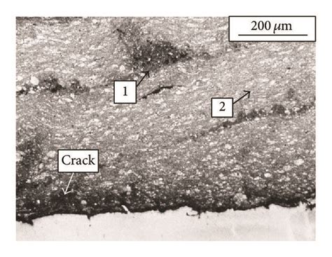 Micrographs Light Microscope Of Coating Deposited With Powder 1 A Download Scientific