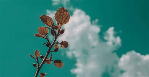 Adobe Photoshop CS5 Tutorial Retouching Labs