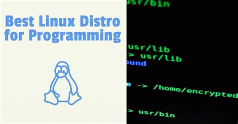 Best Linux Distro For Programming Linux Stans