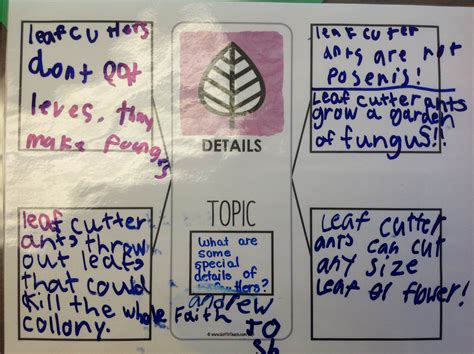 Depth And Complexity Archives Engage Their Minds