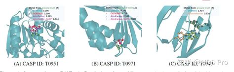 Diffpack 利用扭转角扩散模型进行蛋白质侧链packing 知乎