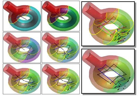 Left Shape Segmentation At Each Step Of The Construction Of The